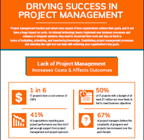 Infographic: Driving Success in Project Management