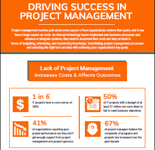 Infographic: Driving Success in Project Management