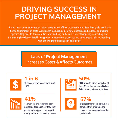 Infographic: Driving Success in Project Management