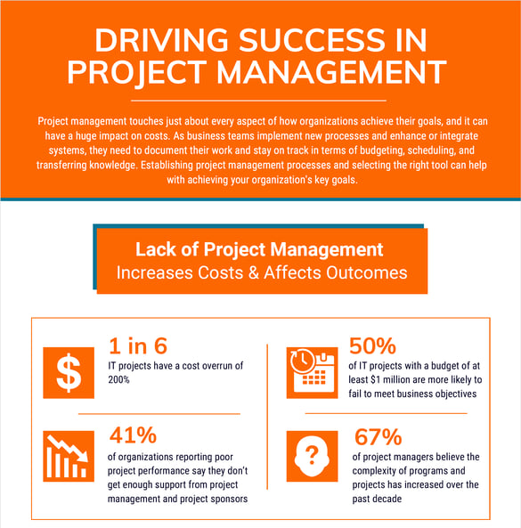 Infographic: Driving Success in Project Management