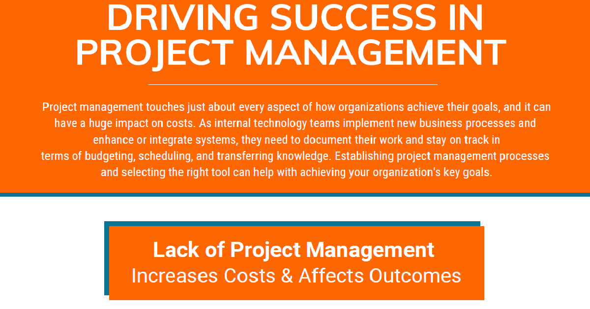 Infographic: Driving Success in Project Management
